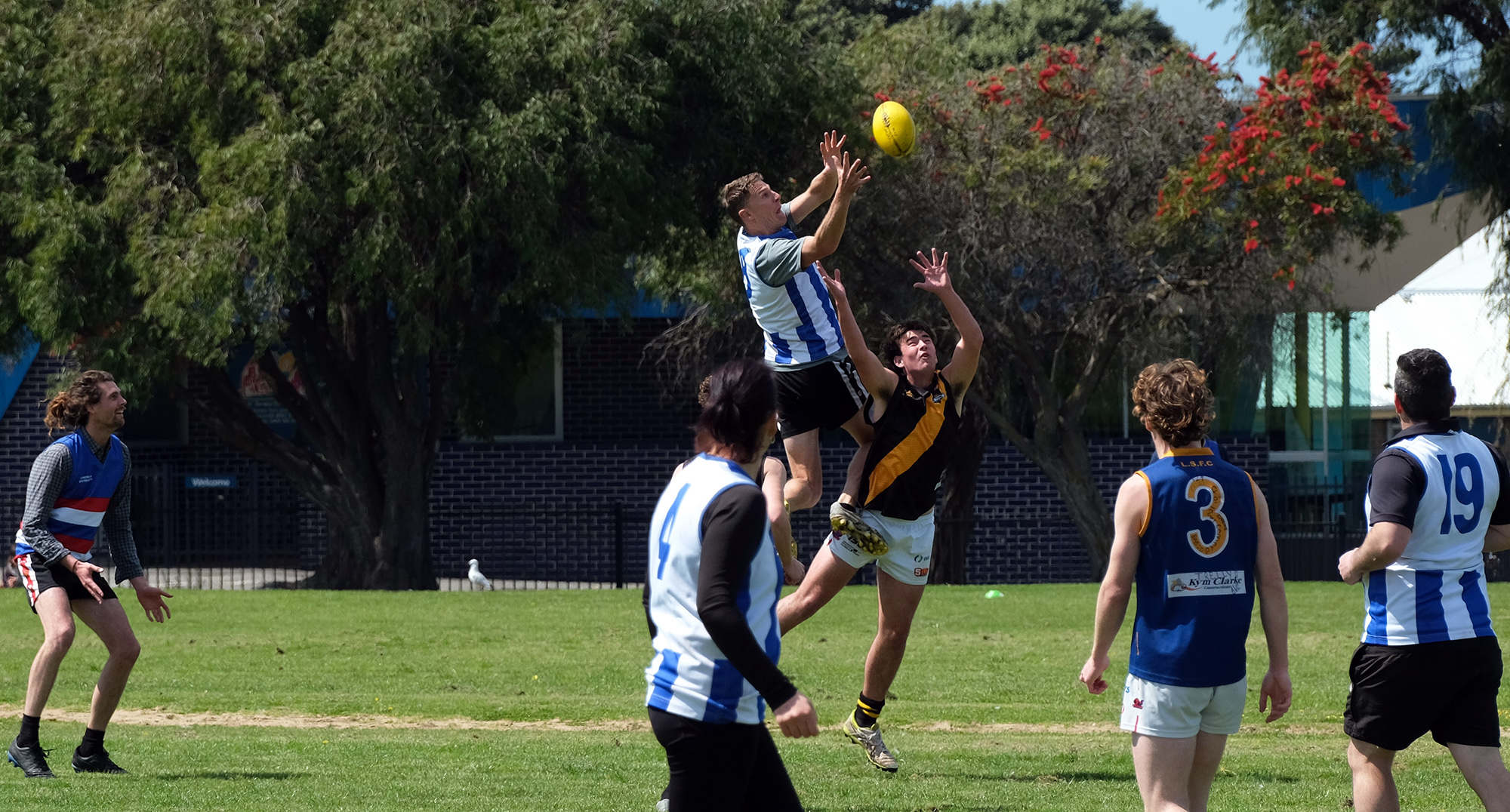 Images from Footy Colours Day at PLHS - Port Lincoln High School