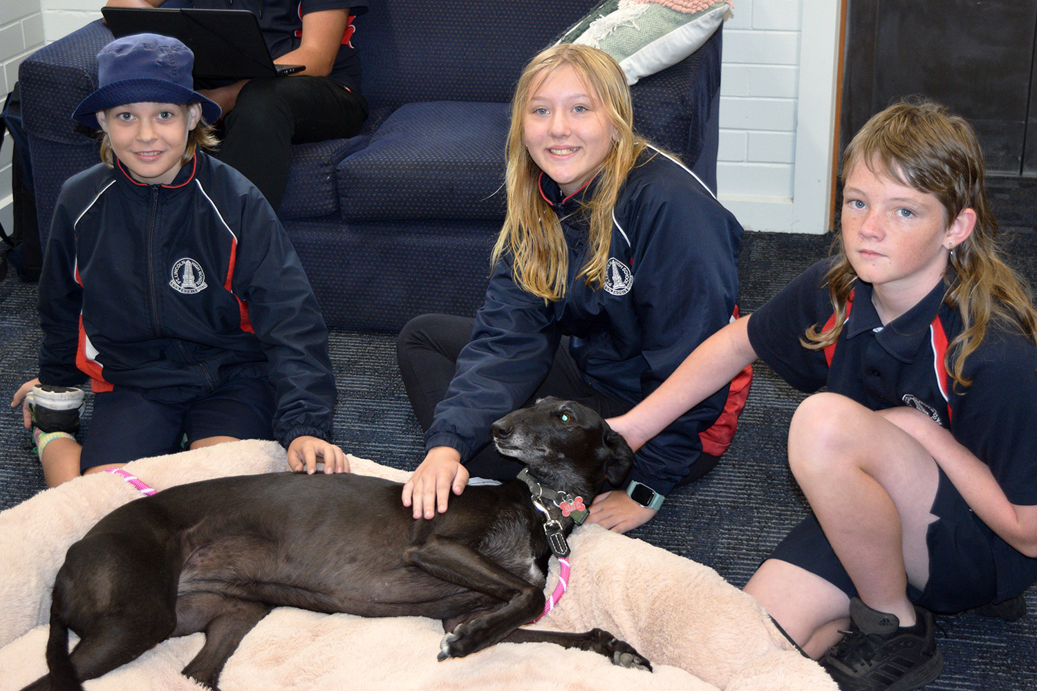 Introducing Our New Enrolment – Hope the Greyhound - Port Lincoln High ...