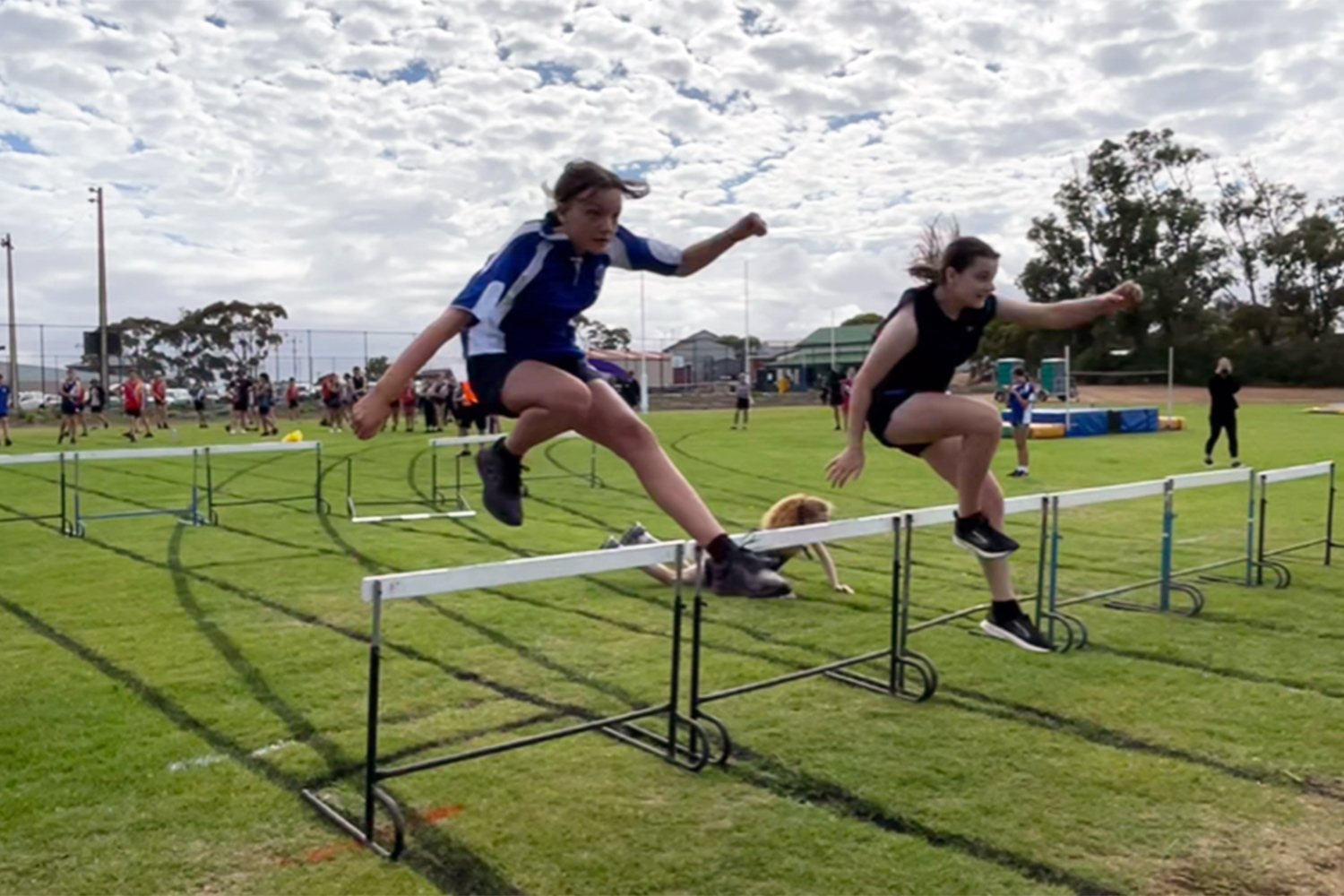 WASSAC Success for PLHS Athletes - Port Lincoln High School
