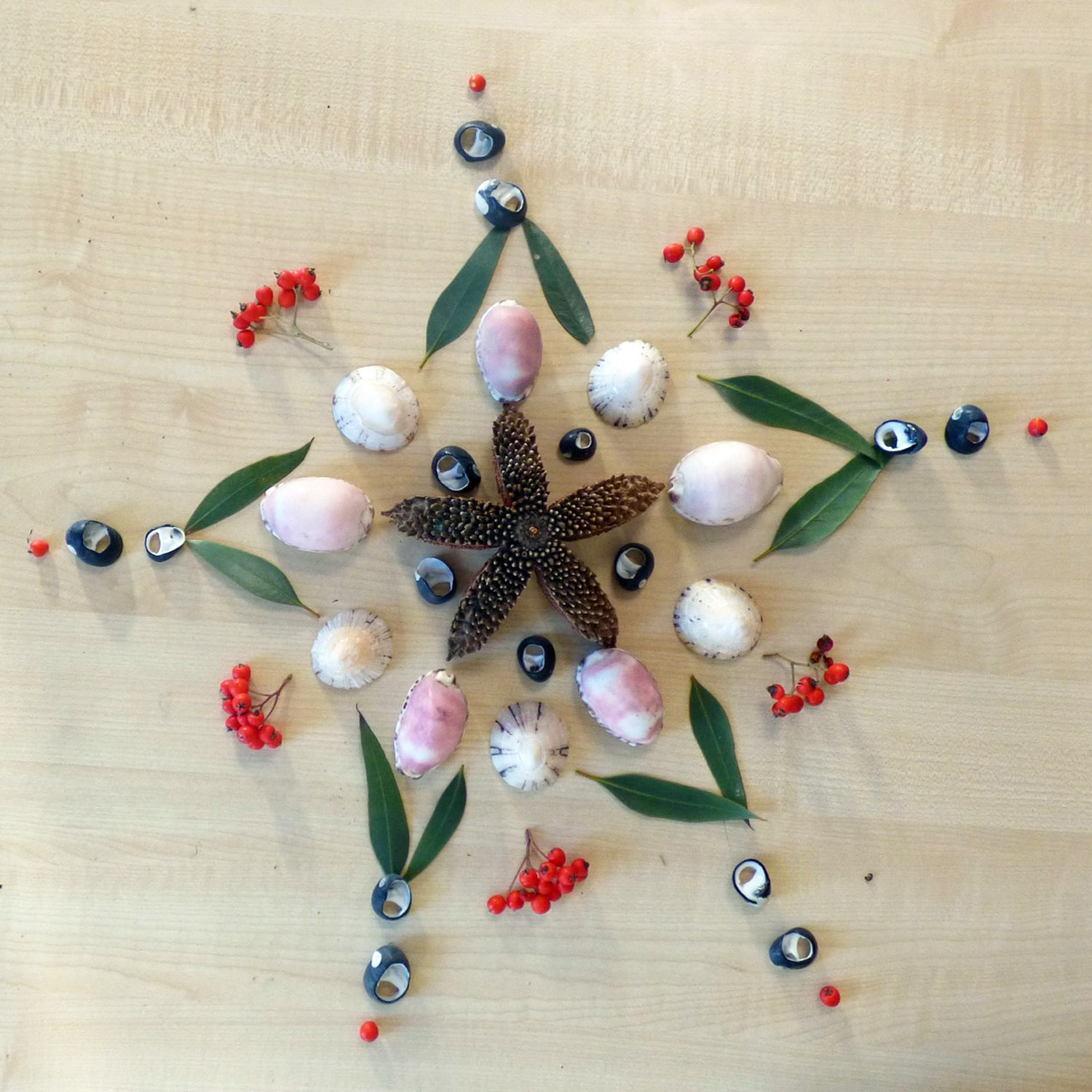 End-of-Semester Activities for Year 7 Students - Port Lincoln High School