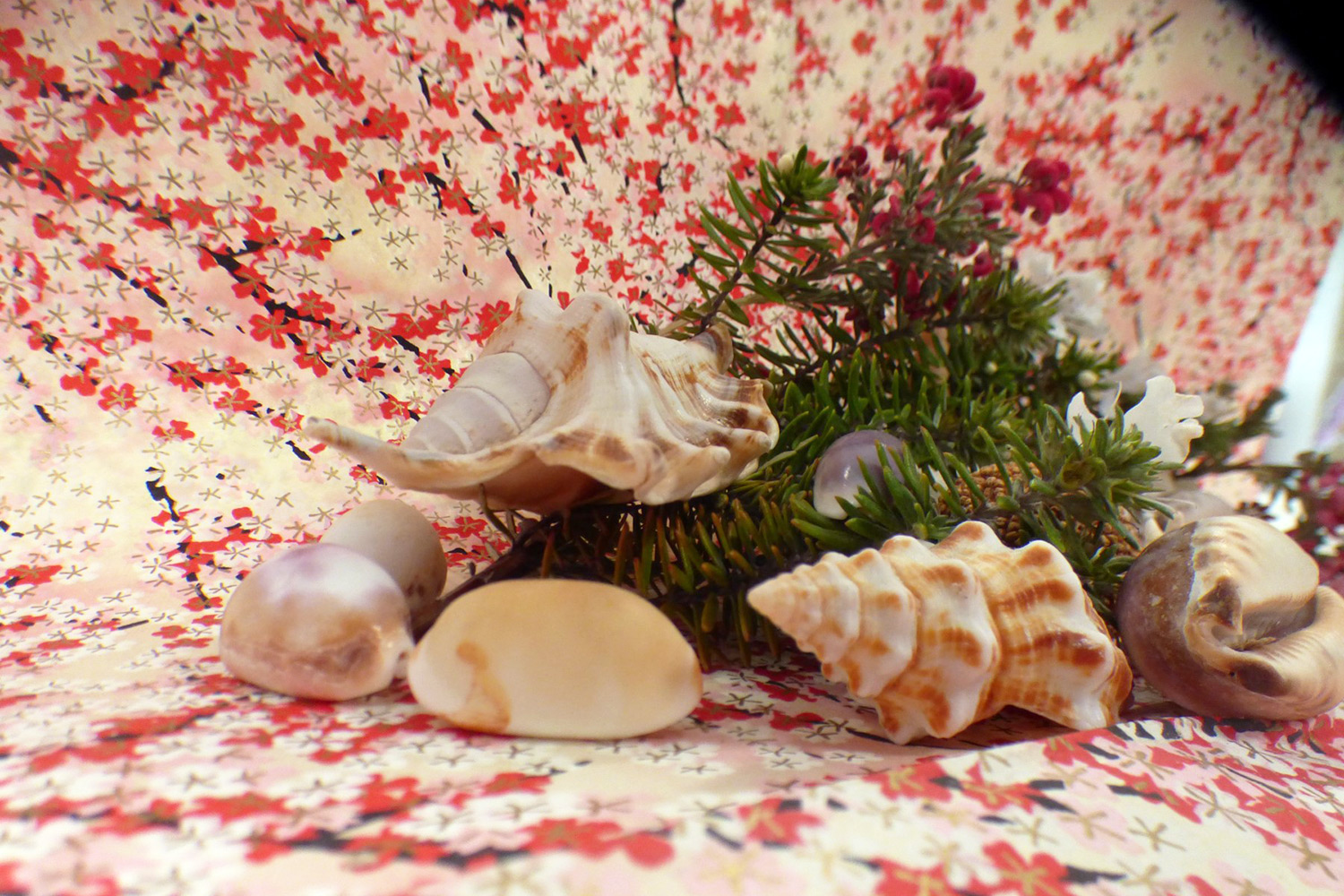 End-of-Semester Activities for Year 7 Students - Port Lincoln High School