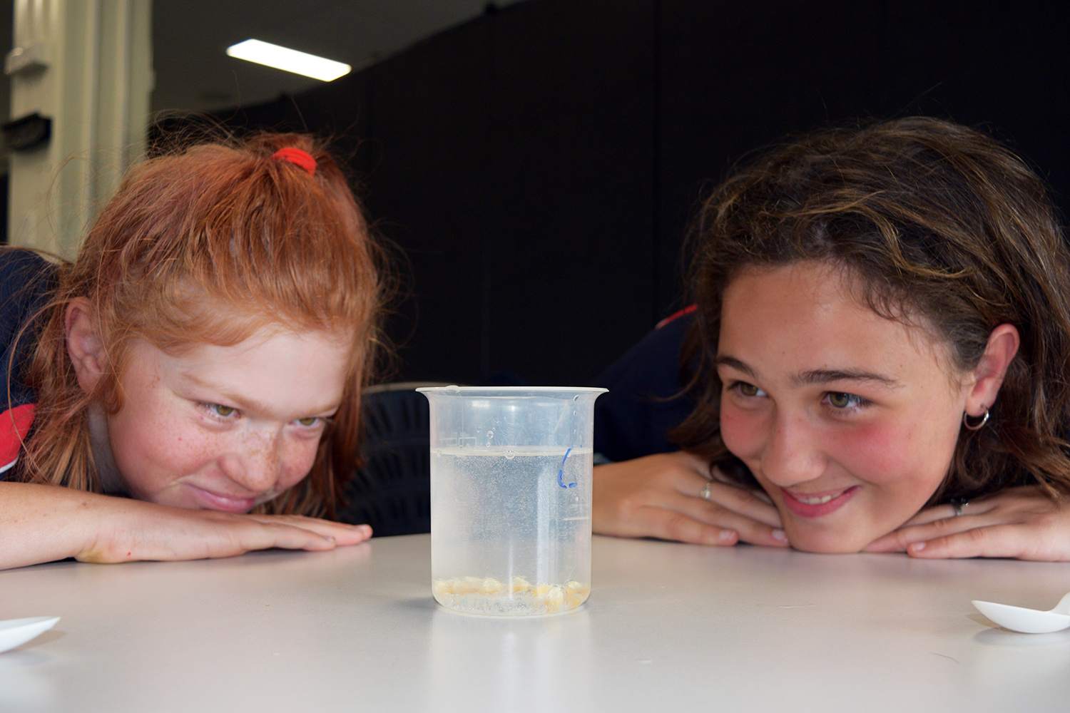 Successful Science Week Celebrations at PLHS - Port Lincoln High School
