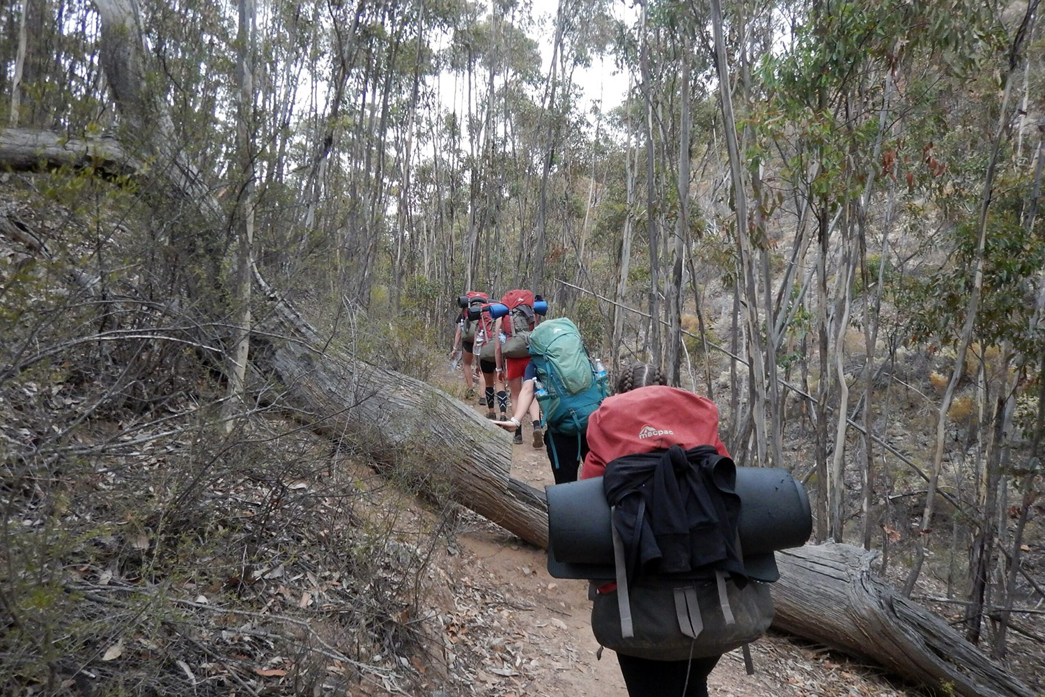 Remarkable 45km Trek for Year 11 Outdoor Ed Class - Port Lincoln High ...