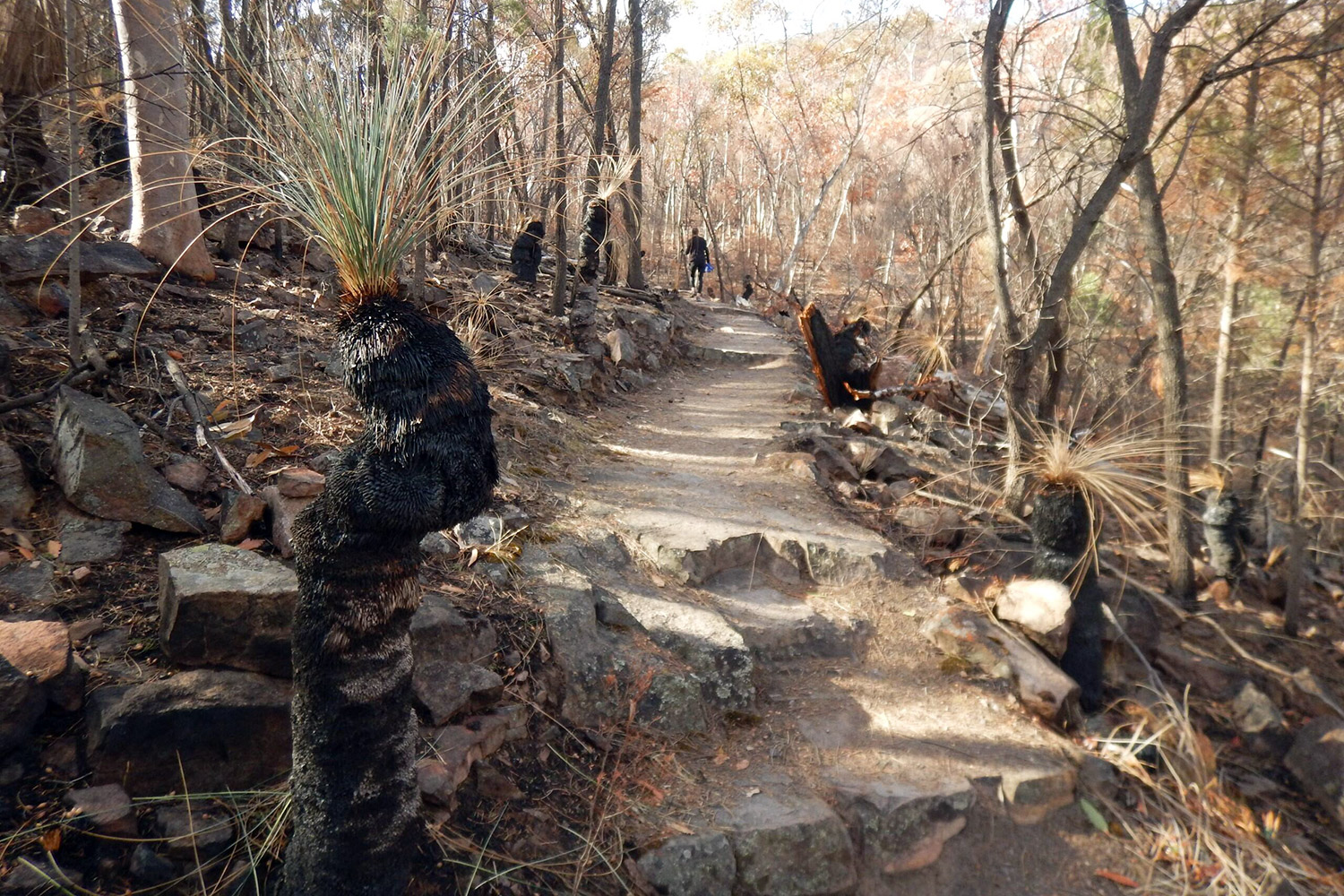 Remarkable 45km Trek for Year 11 Outdoor Ed Class - Port Lincoln High ...